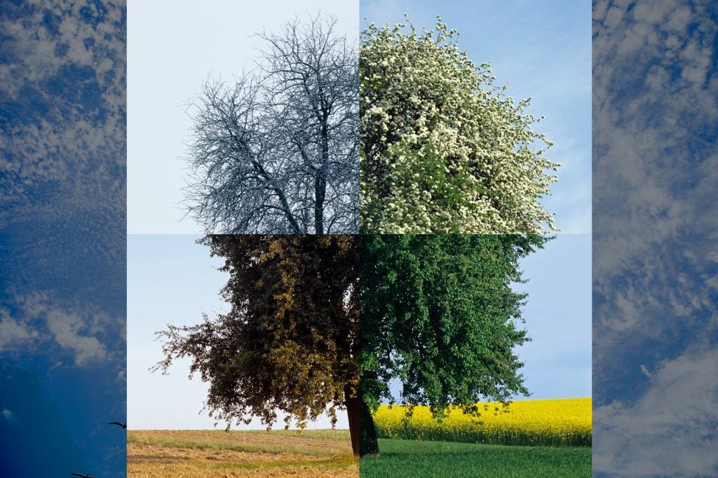 季节更迭，独有其美_奇速英语